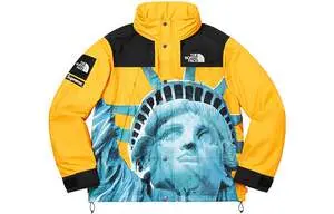 Supreme X The North Face Statue Of Liberty Waterproof Interchange Jacket