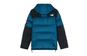 The North Face Down Jacket Energy Jacket
