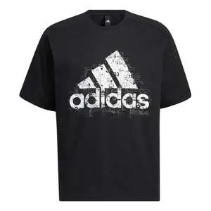 Adidas City Escape Loose Fit Badge Of Sport Graphic T-shirt - Black