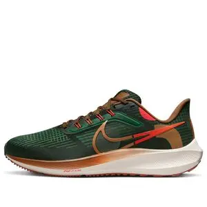 Nike Zoom Pegasus 39 "a.i.r