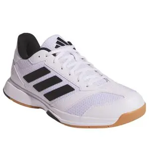 Adidas Ligra Indoor Sports Shoes