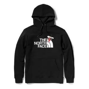 The North Face Drew Peak Hoodie