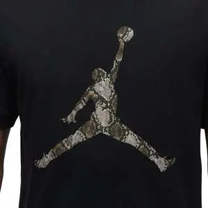 JORDAN Crew Neck T-shirt