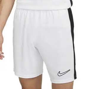 Nike Dri-fit Academy 23 Shorts