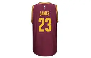 Adidas Sw Cleveland Cavaliers Lebron James Jersey
