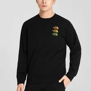 The North Face Crew Neck Logo Pullover