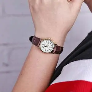Casio Analog Quartz Watch