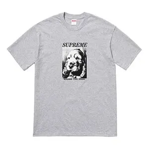 Supreme Fw18 Remember Tee Heather Puppy Sketch Printing Short Sleeve Gray - Grey