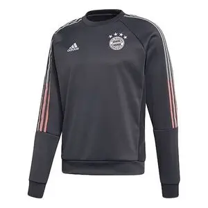 Adidas Fc Bayern Munich Pullover By - Grey