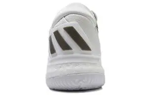 Adidas Crazy Light Boost Low Top Sneakers