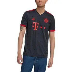 Adidas Fc Bayern 22/23 Third Jersey