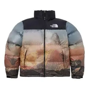 The North Face 1996 Novelty Nuptse Jacket 'multicolor - Multi Color