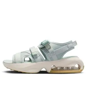 Nike Nike Air Max Sol Sandal Grey
