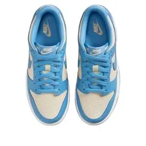 Nike Dunk Low Lace Up Sneakers