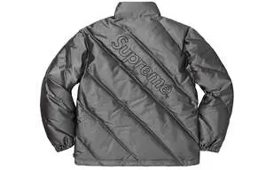 Supreme Iridescent Puffy Jacket