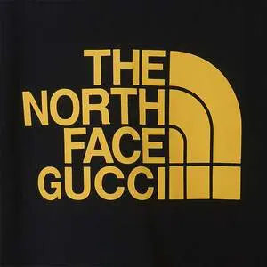 Gucci X The North Face Crossover Alphabet Logo Printing Loose Round Neck Short Sleeve T-shirt - Black