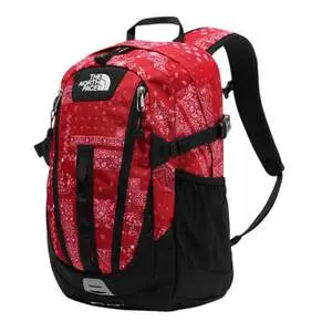 The North Face Mini Shot Backpack