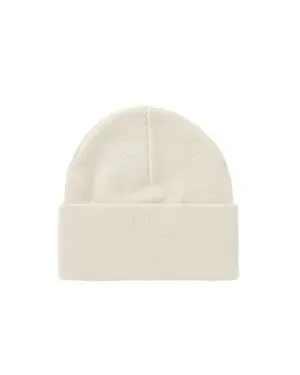 Carhartt Work In Progress Beanie