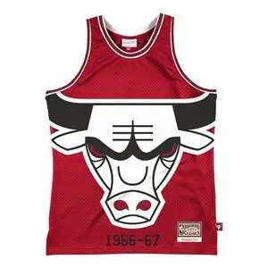 Mitchell & Ness Chicago Bulls 1966-67 Basketball Vest - Default Color