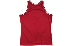 Mitchell & Ness Chicago Bulls 1966-67 Basketball Vest - Default Color
