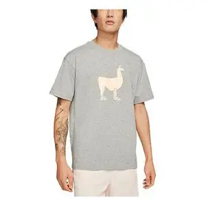 Nike Skateboard Loose Knit Short Sleeve