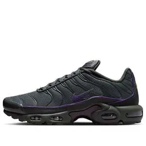 Nike Nike Air Max Plus Sneakers Iron Grey/wild Grape