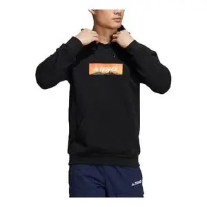Adidas Graphic Hooded Pullover