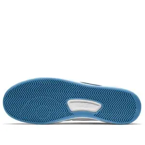 Nike Adversary Sb Low Top Sneakers - Blue/white