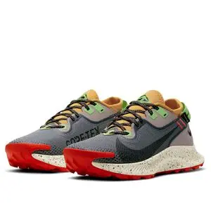 Nike Pegasus Trail 2 Gtx Sneakers