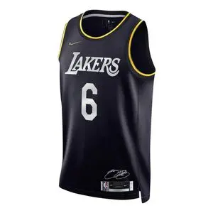 Nike X Nba La Lakers Icon Edition Jersey Lebron James 6 - Black