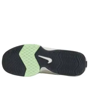Nike Lebron Witenss Ep Sneakers - White/black