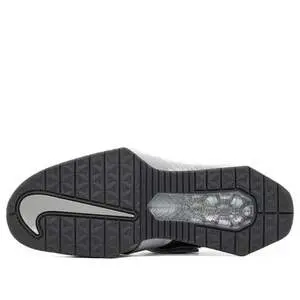 Nike Romaleos 4 Se Athletic Sneakers - Phantom Dust/metallic Silver