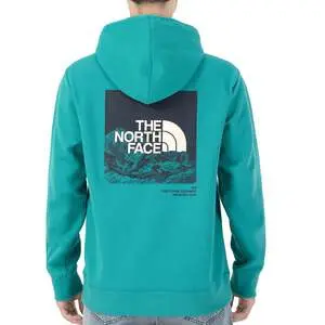 The North Face Logo Hoodie