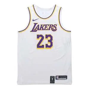 Nike Nba Los Angeles Lakers Lebron James No. 23 Vaporknit Jersey - White