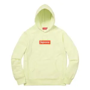 Supreme Box Logo Hoodie - Teal