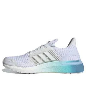 Adidas Ultraboost Dna Cc_1 'cloud Gradient - White