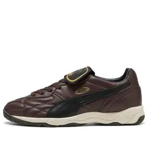 Brown/black