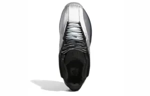 Adidas Crazy 1 "metallic Silver" Gy2410