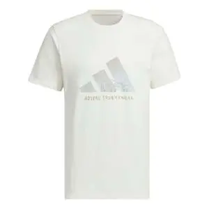 Adidas Graphic T-shirt Asia Sizing - White
