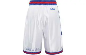 Nike Space Jam Lebron James Basketball Shorts