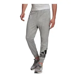 Adidas Pants Large Logo Sports Pants/trousers/joggers Gray - Default Color