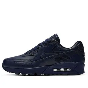 Nike Max 90 Pinnacle