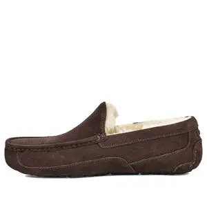 UGG Ascot Slipper Shoe - Brown