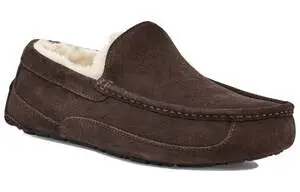 UGG Ascot Slipper Shoe - Brown