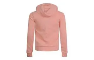 Adidas Brilliant Basics Hoodie