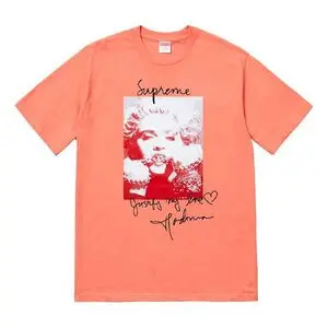 Supreme Fw18 Madonna Tee Terra Cotta Printing Short Sleeve - Pink
