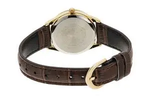Casio Dress Series Quartz Water Resistant Analog Watch