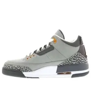 JORDAN 3 Retro Ls 'cool Grey - Silver