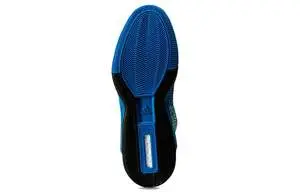 Adidas Crazylight Boost Sneakers