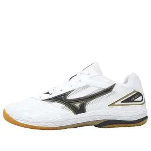 Mizuno Lace Up Shoes For Men